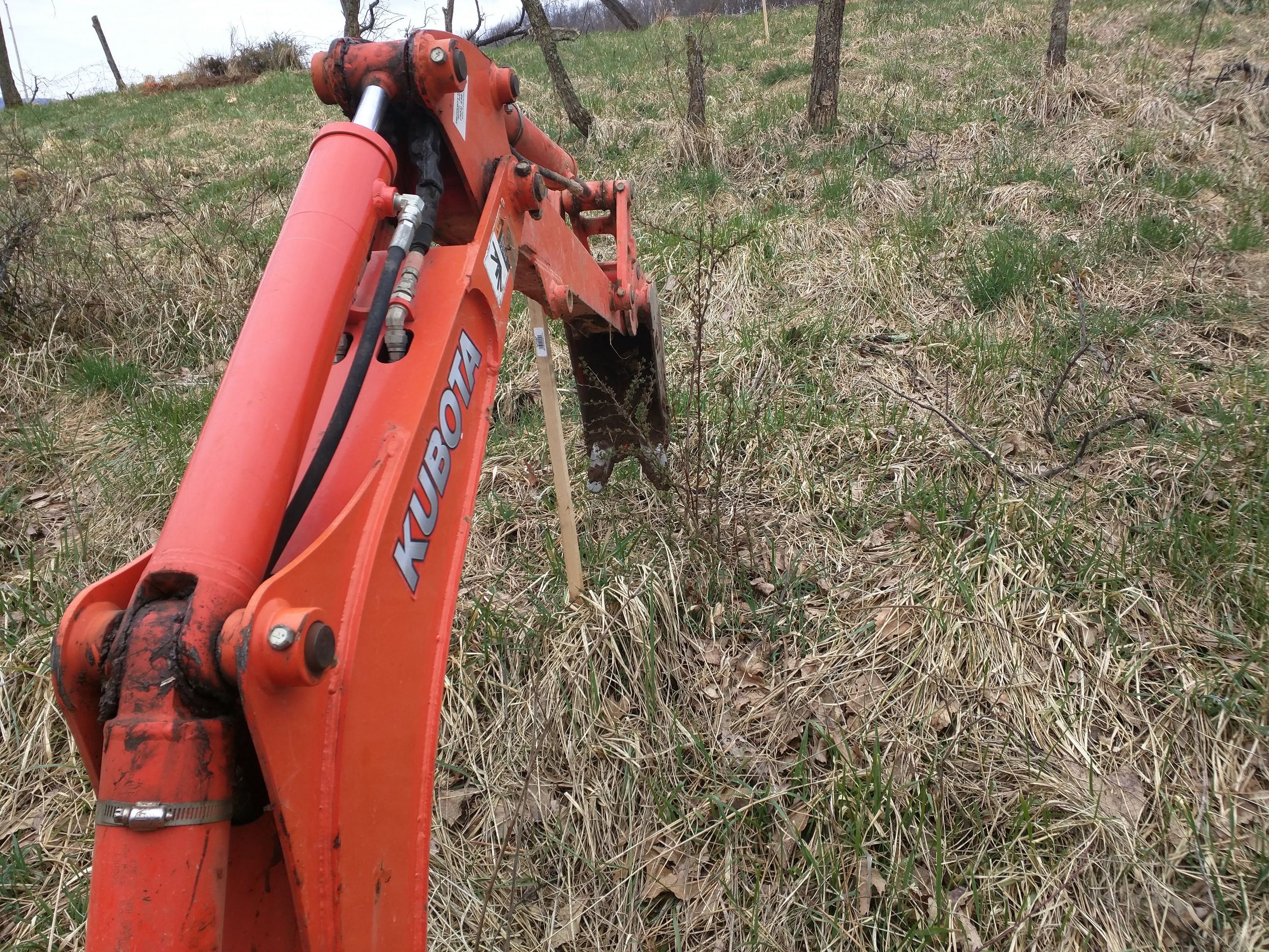 Starting an Orchard Part IV: Planting Trees – Vantages From Vandalia